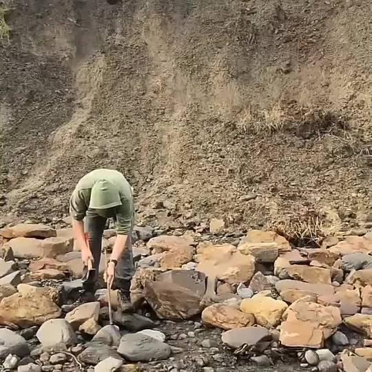 Great Find! | Scrolller