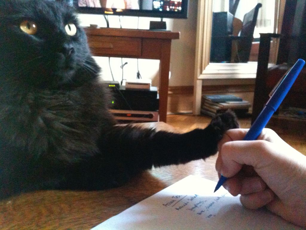 Greenies and Tiki Cat! Shopping list high five! | Scrolller