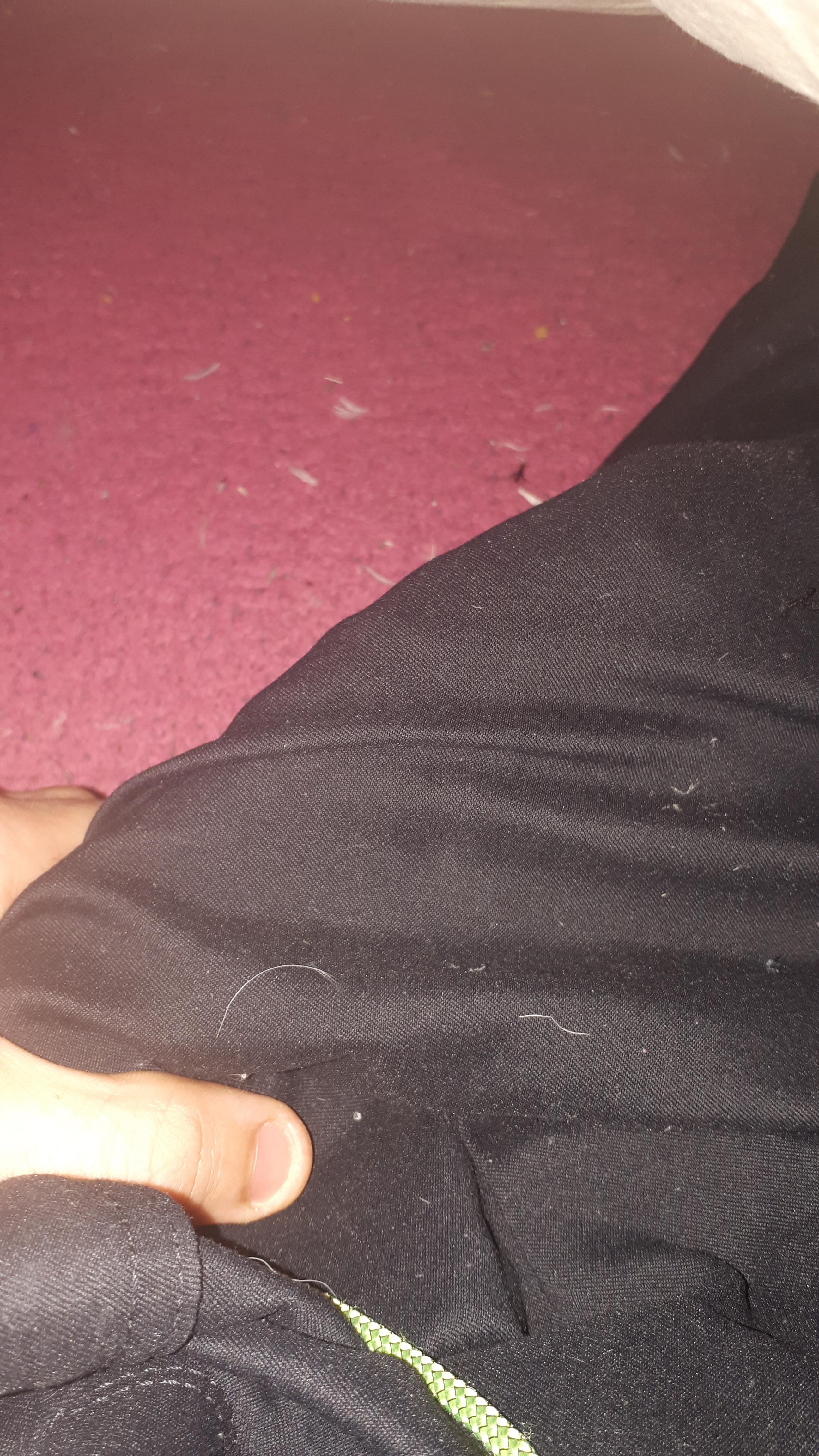 Grey pants would work better, eh? | Scrolller