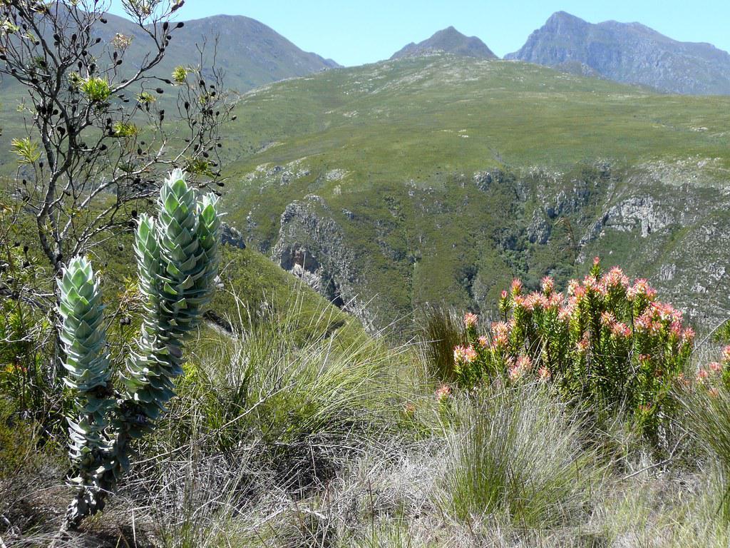 Grootvaderbosch is amazing! | Scrolller