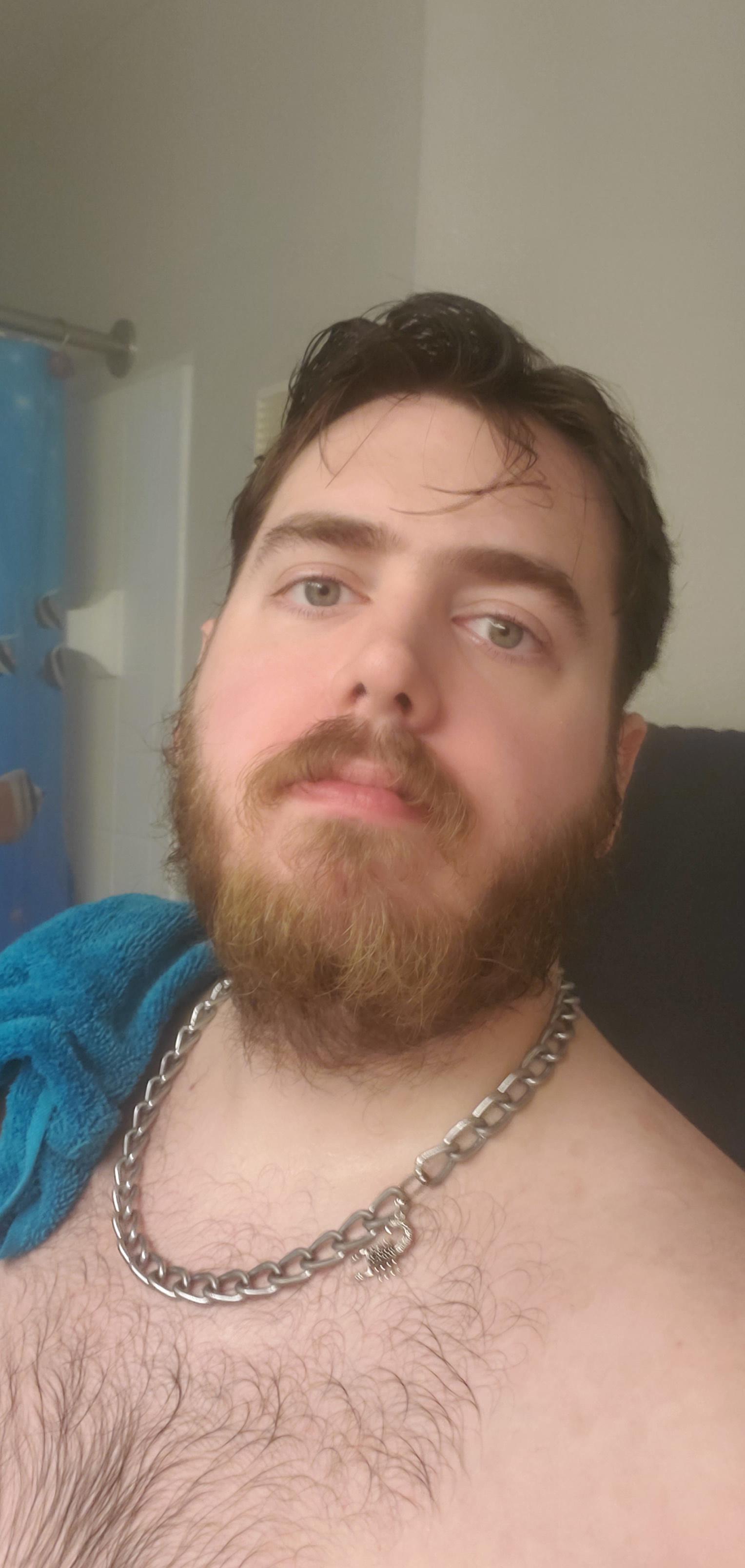 Growing out the beard! | Scrolller