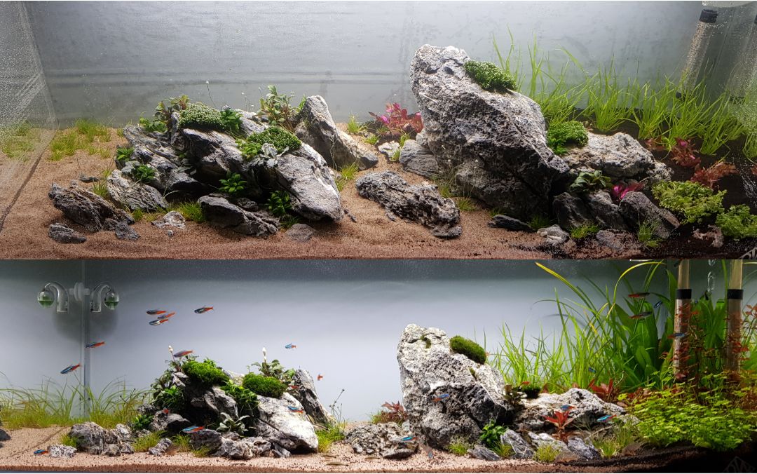 Growing slowly | Scrolller