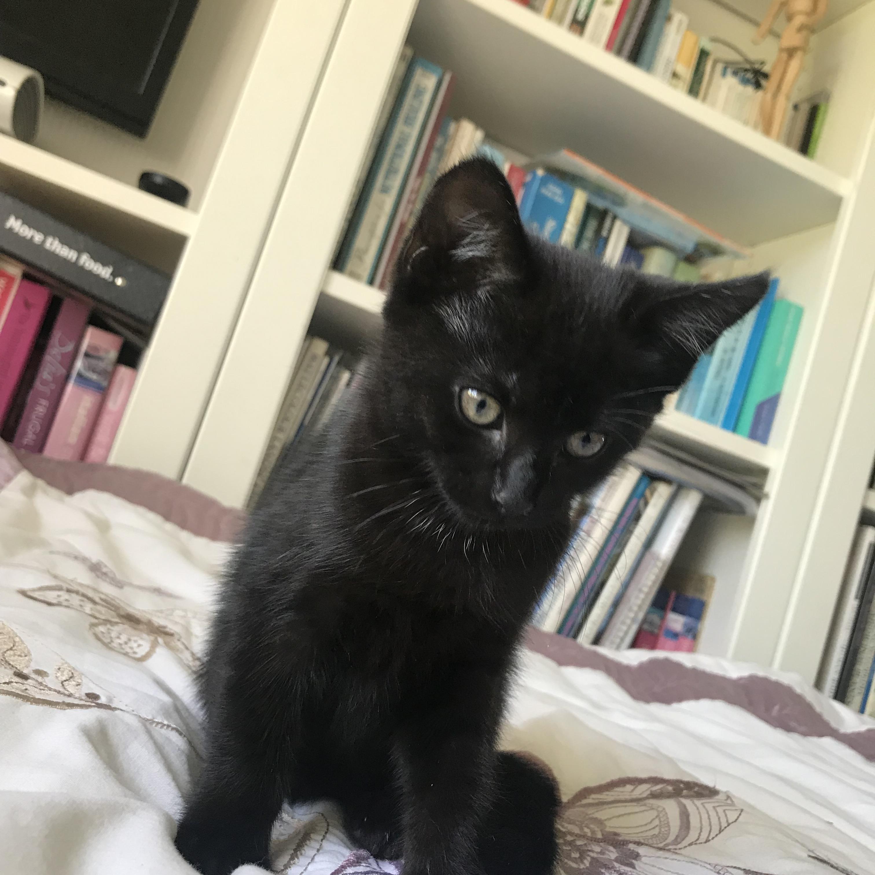 Growing up! | Scrolller