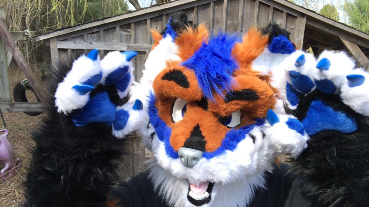 Grr! (Suit made by Spikey McFox) | Scrolller