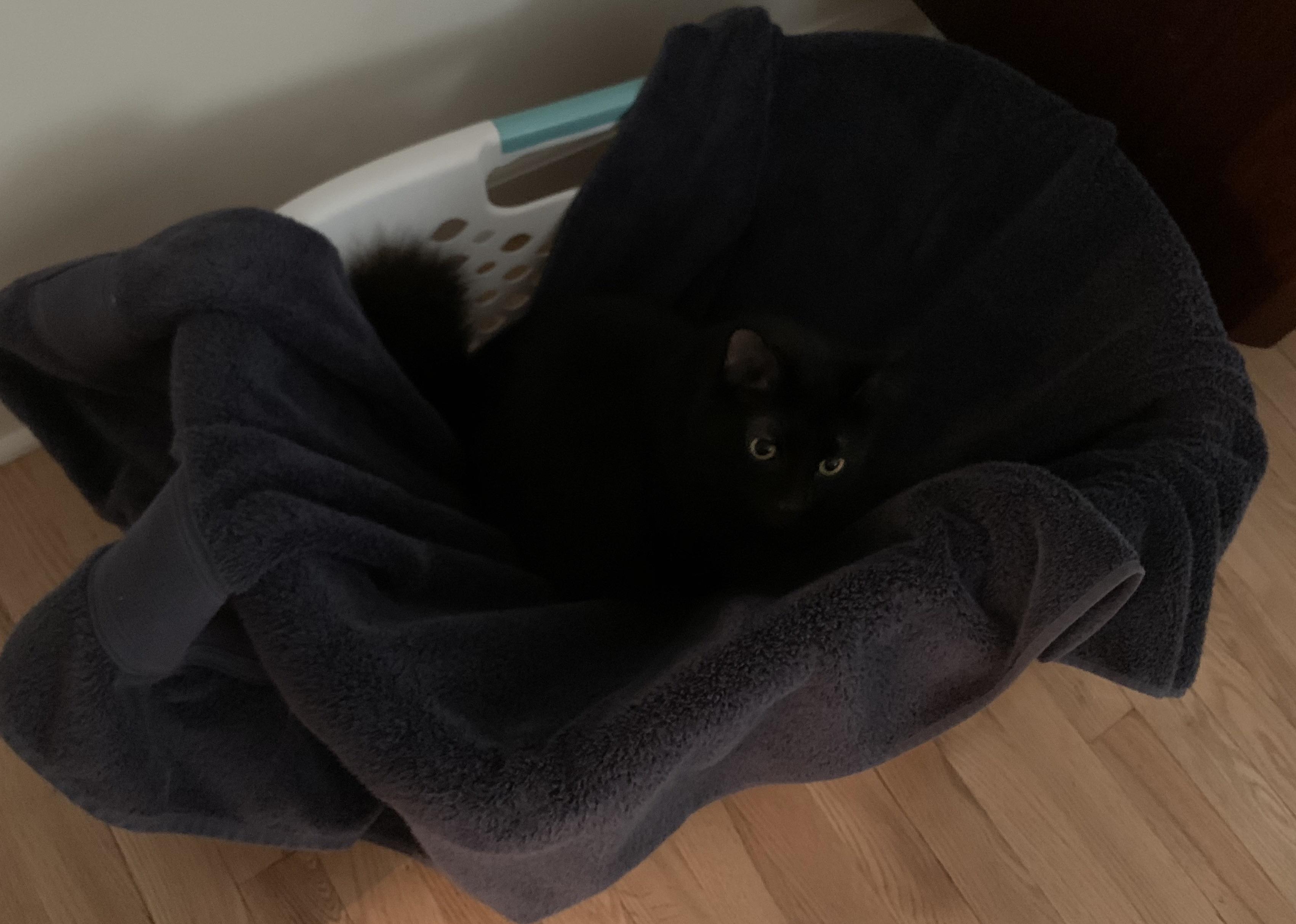 Gru emerging from inter-dimensional space | Scrolller