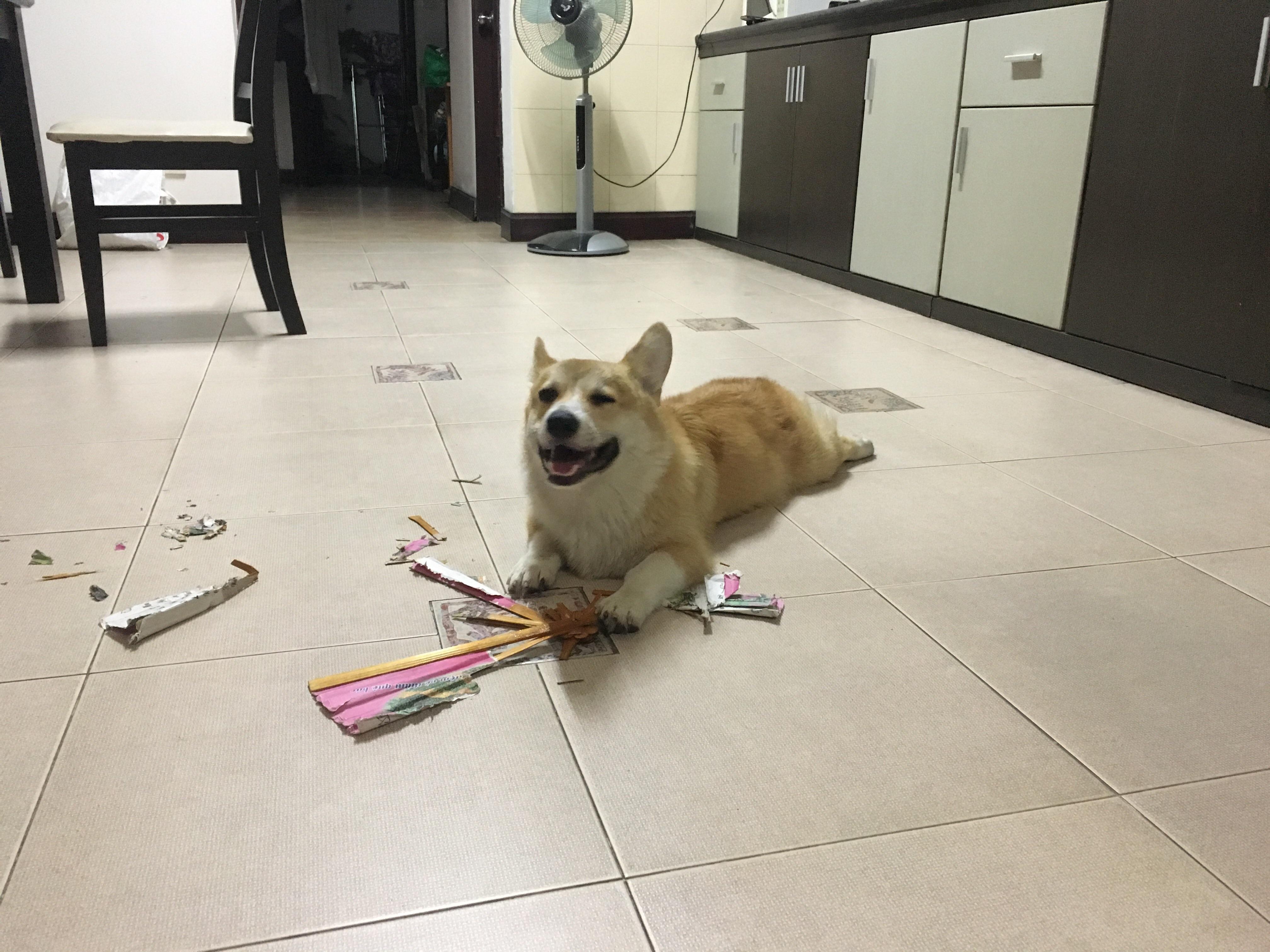 Guilty as charged! | Scrolller