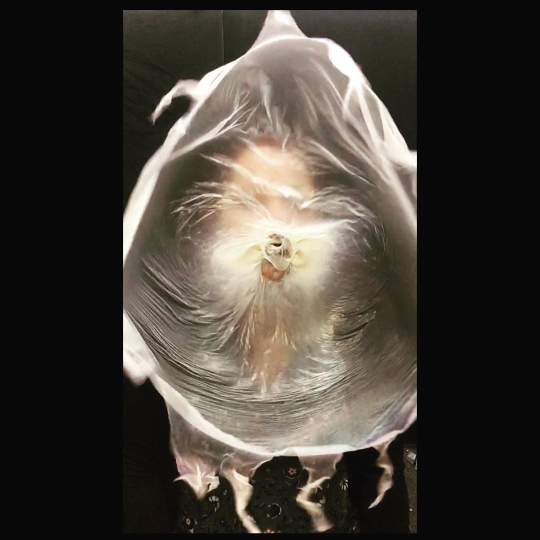 Gum popped | Scrolller