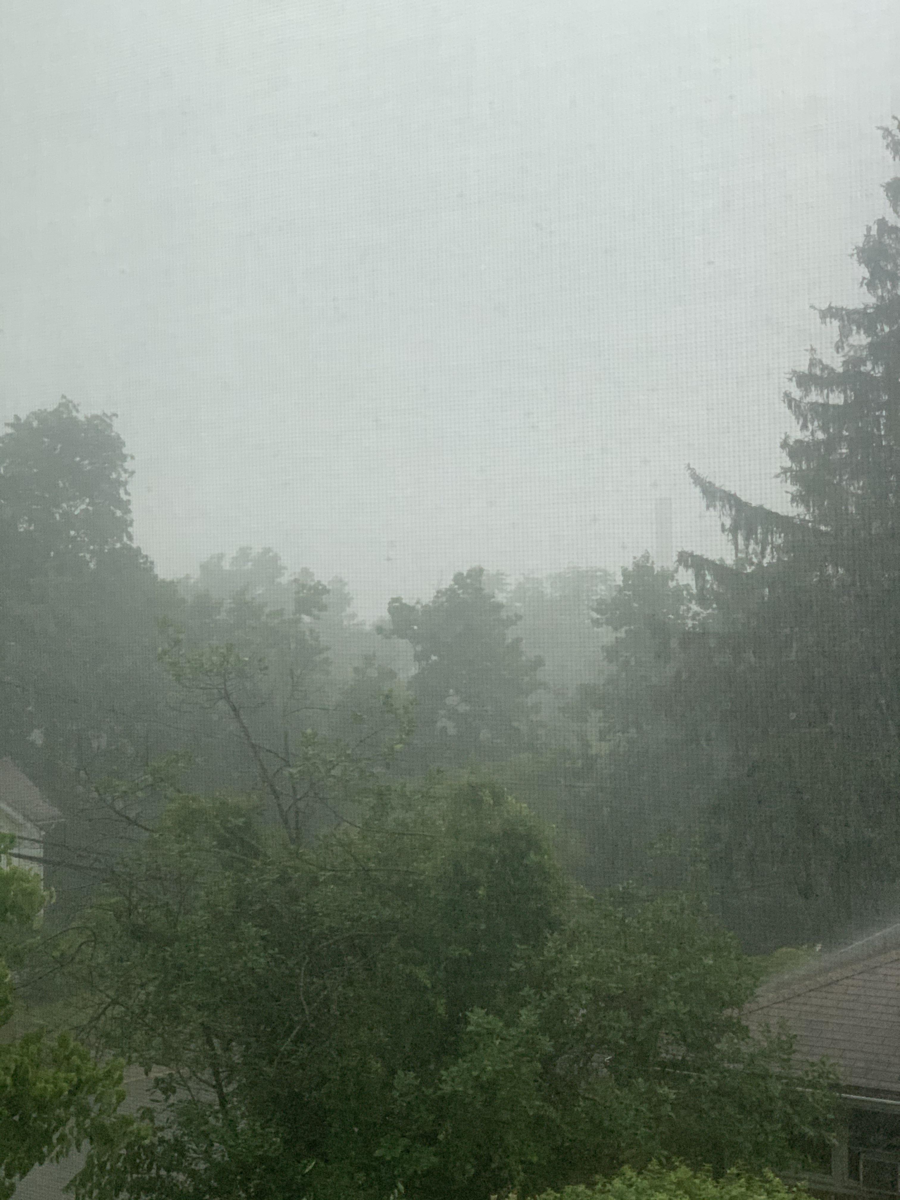 Guys I think it’s raining | Scrolller