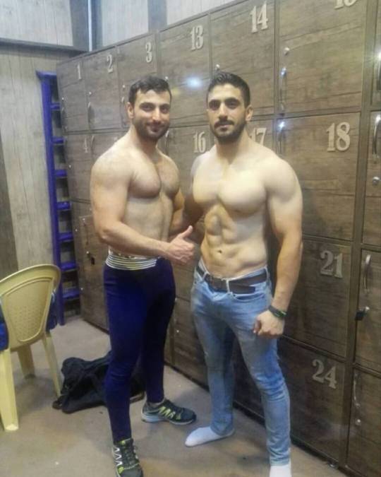 Gym Bros | Scrolller