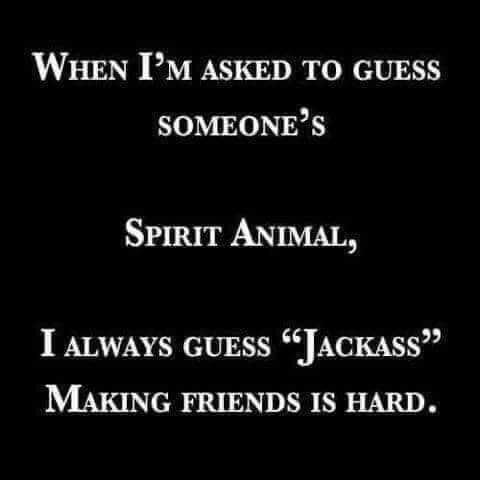 Ha meme is so funny | Scrolller