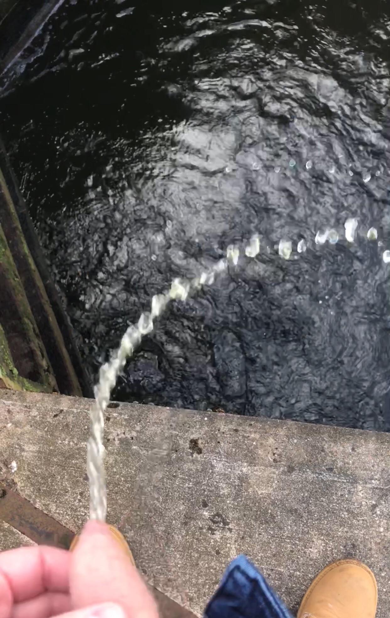 Had a bit of fun outdoors earlier | Scrolller