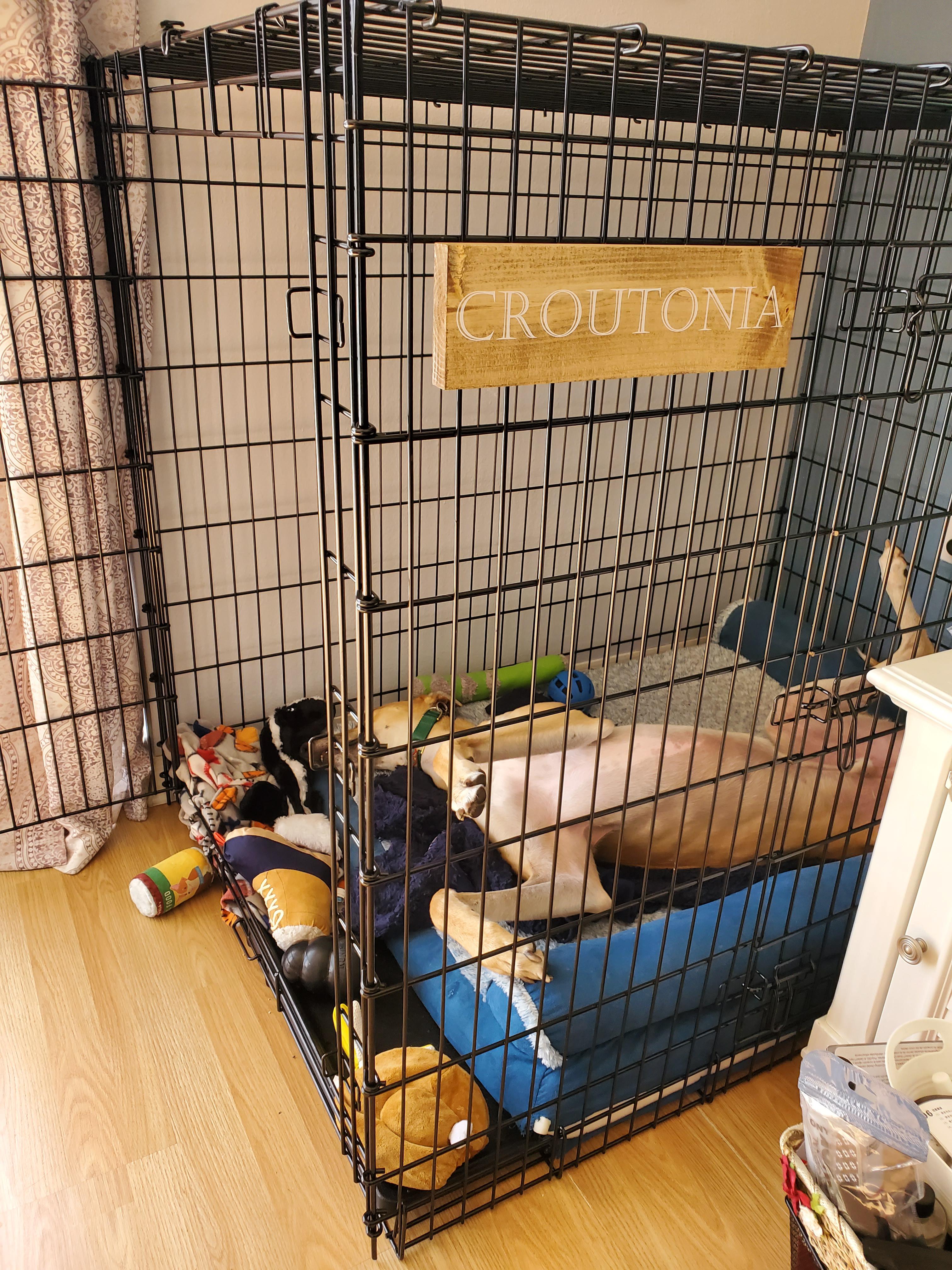 Had a sign made for Crouton's crate since it's the size of a small village anyway | Scrolller