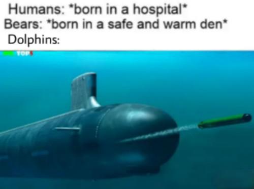 Haha torpedo goes brr | Scrolller