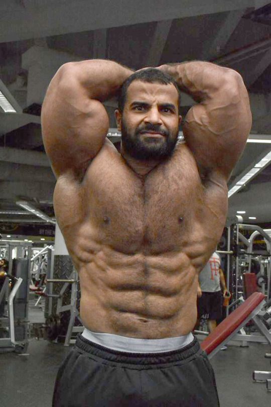 Hairy chest and abs | Scrolller