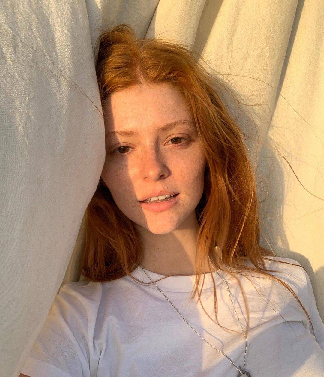 Haley Halter | Scrolller