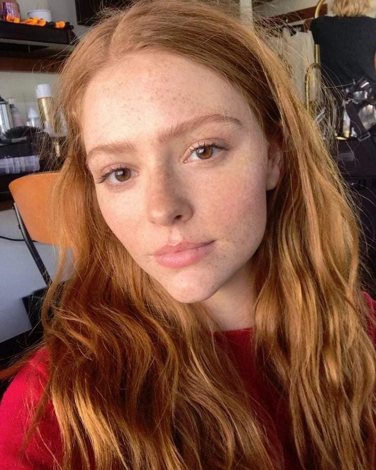 Haley Halter | Scrolller