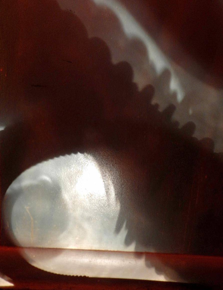 Hallway Apocalypse | Scrolller