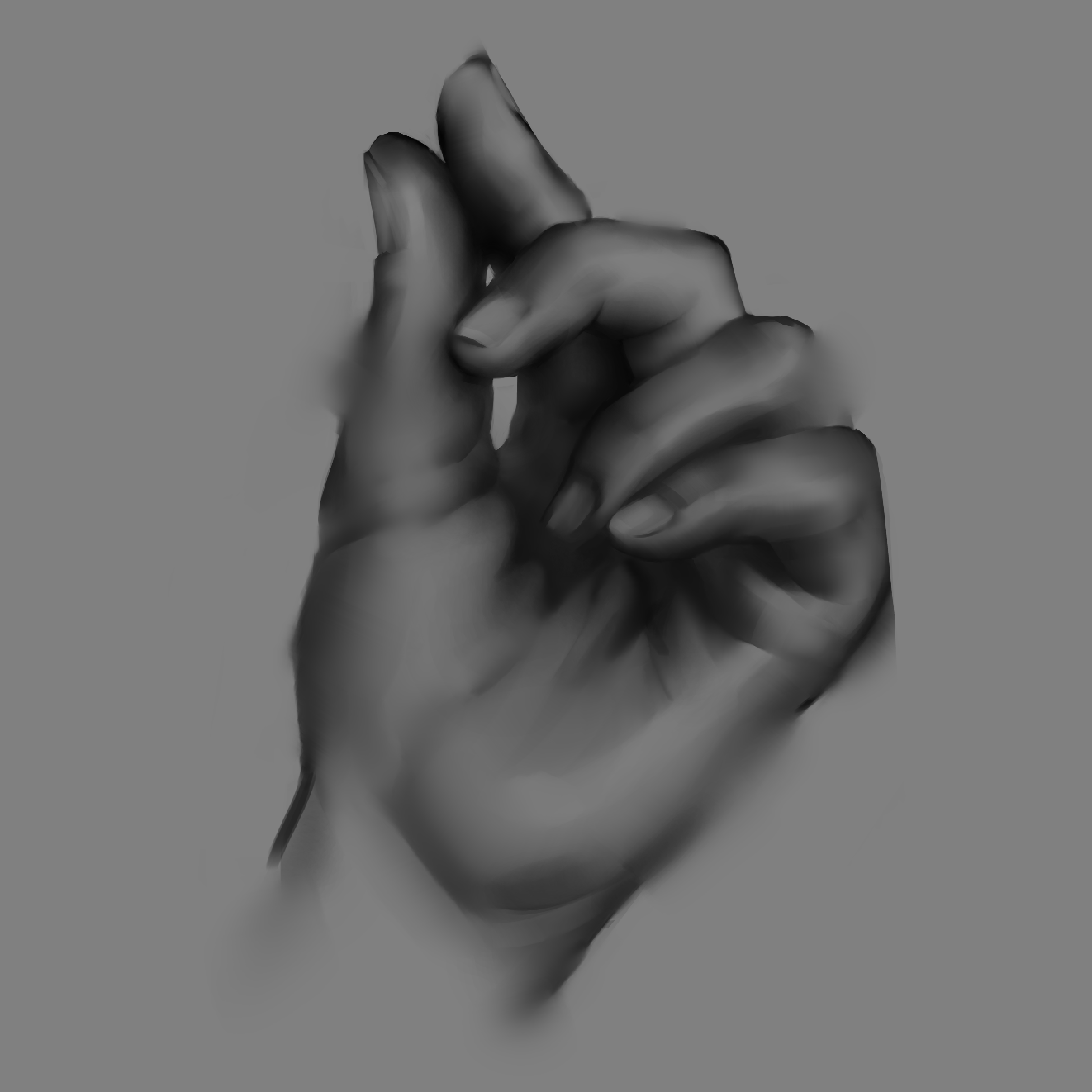 Hand Study | Scrolller