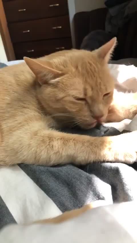 Handsome devil | Scrolller