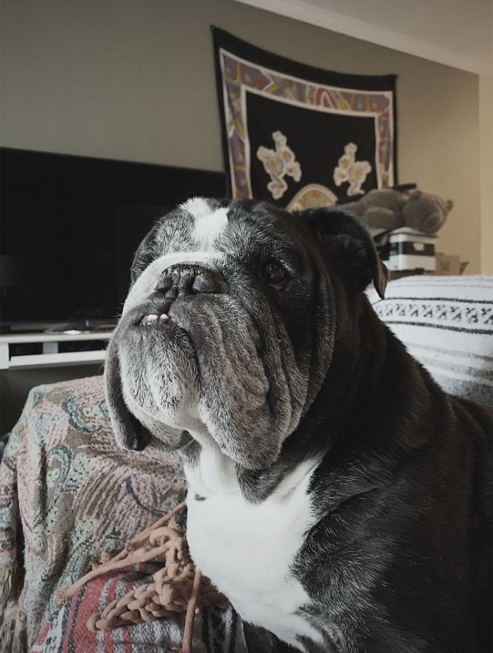 Handsome Studly 💜 | Scrolller