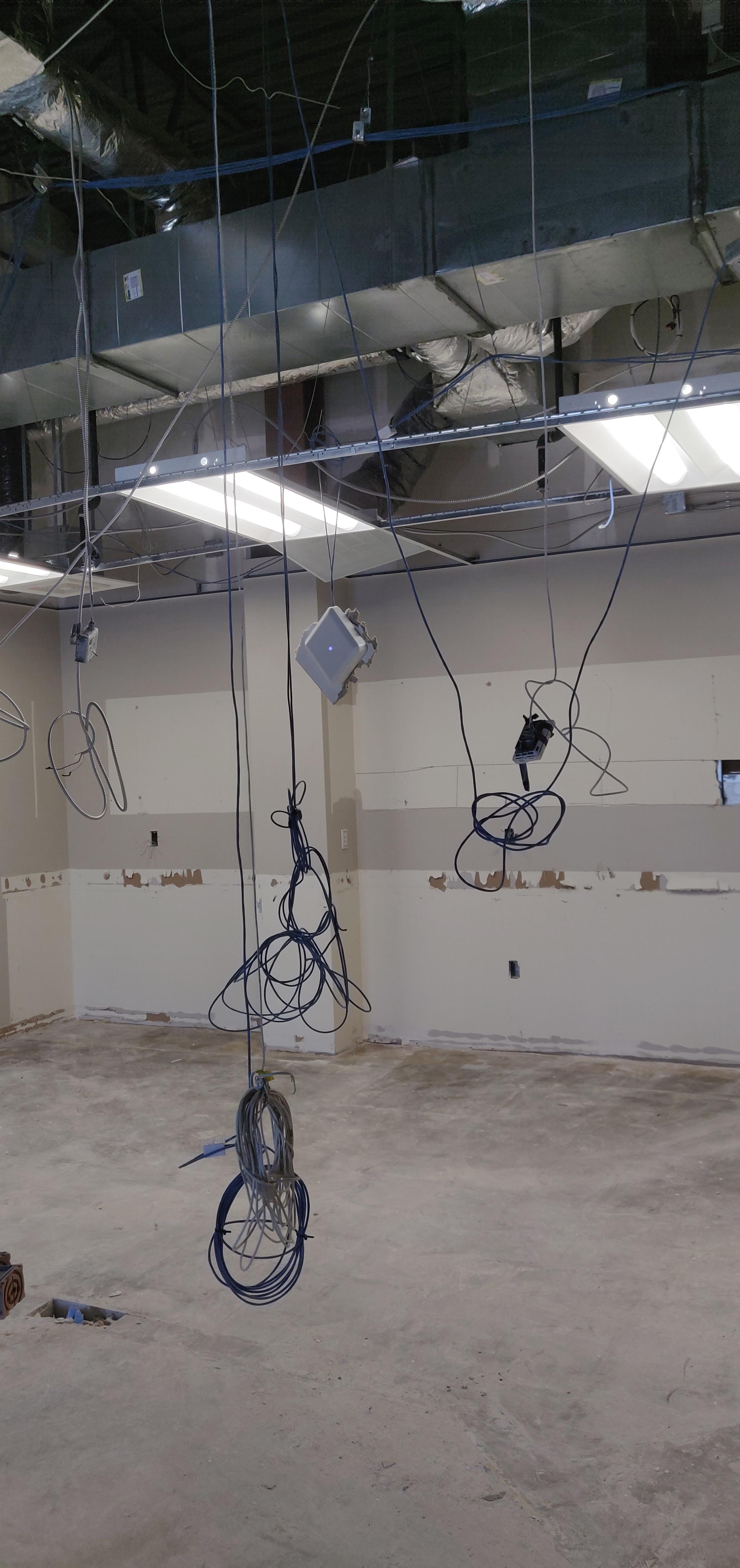 Hang in there | Scrolller