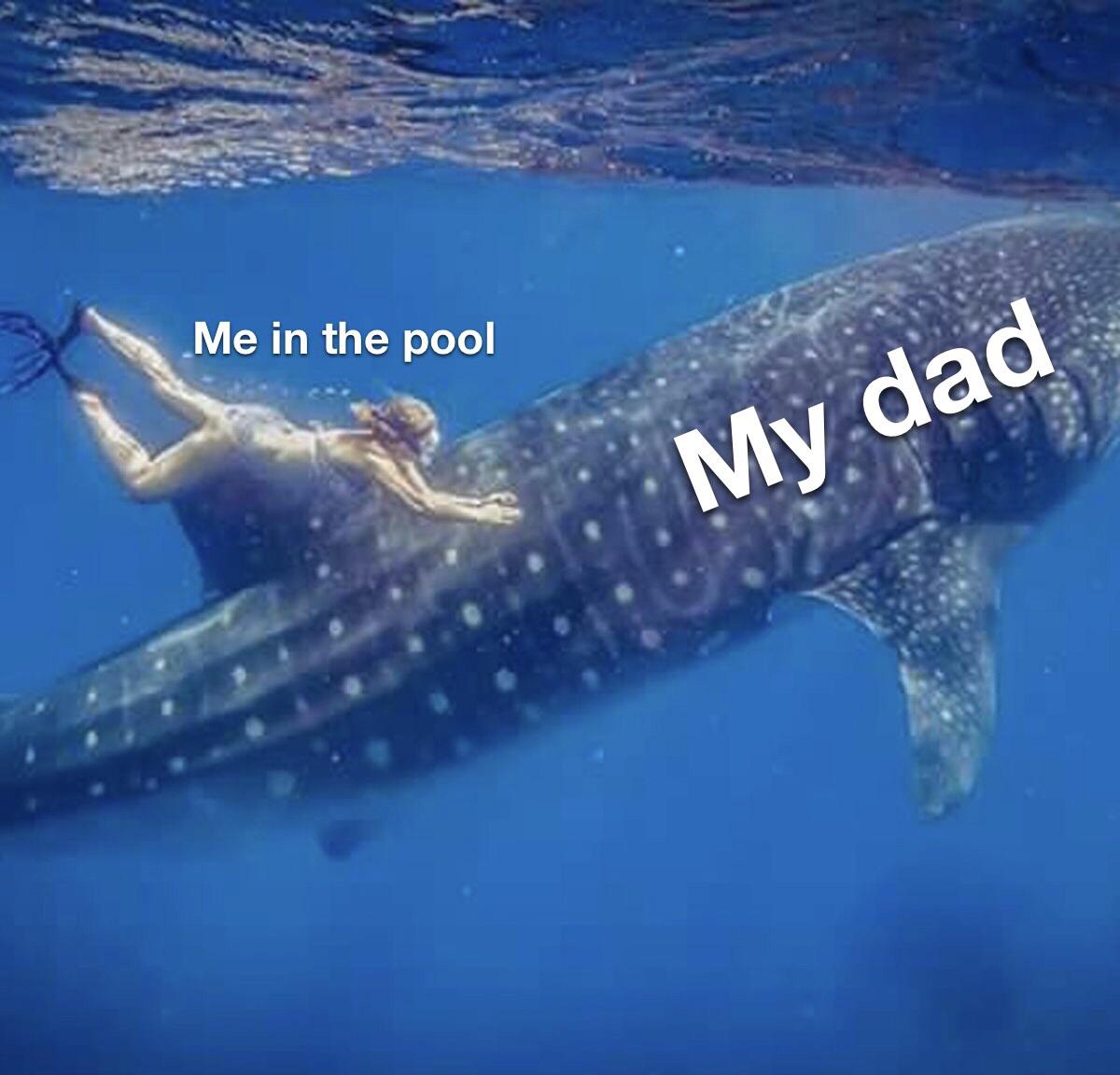 Hang on and hold your breath | Scrolller