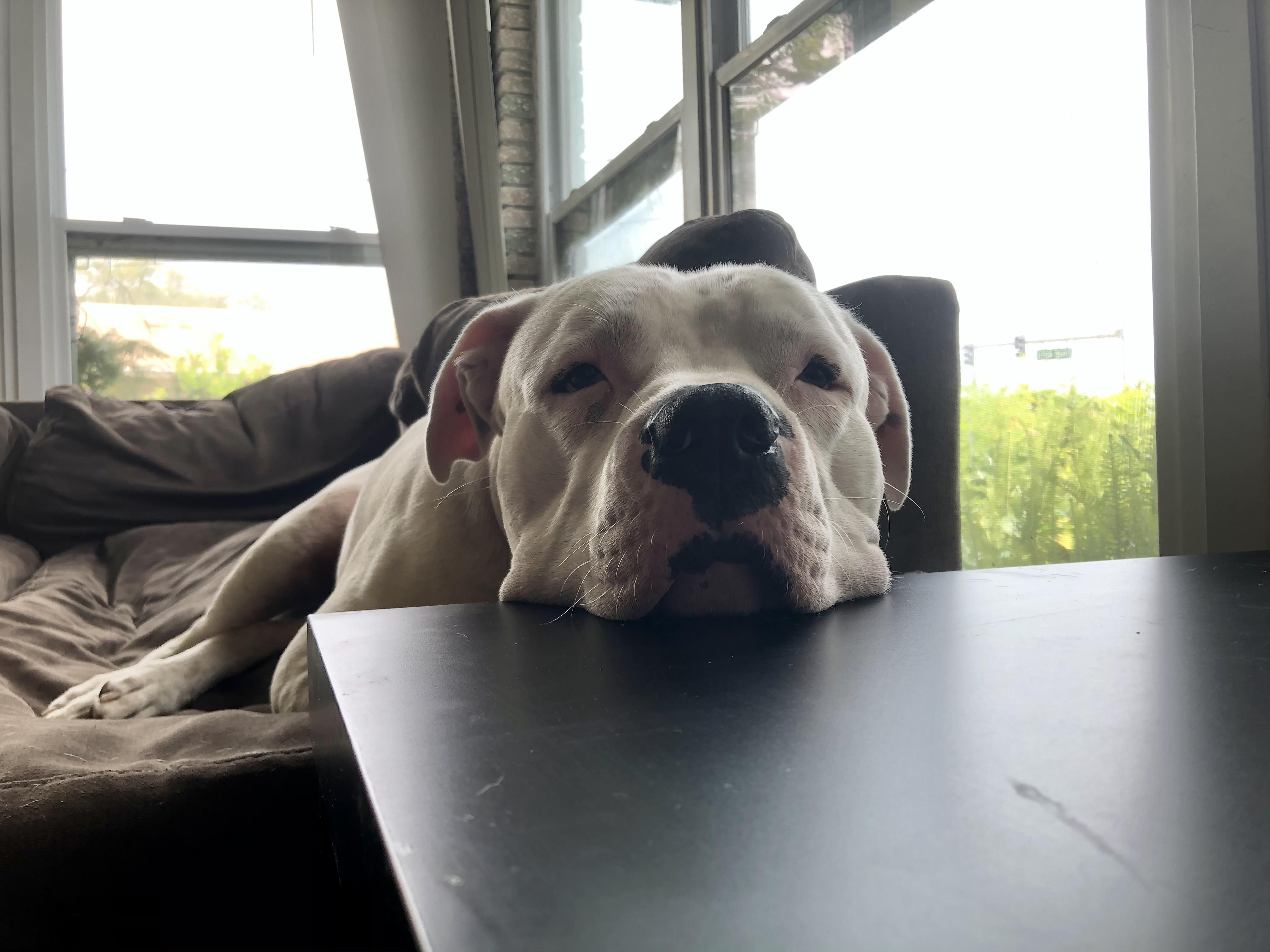 Hank being handsome. | Scrolller