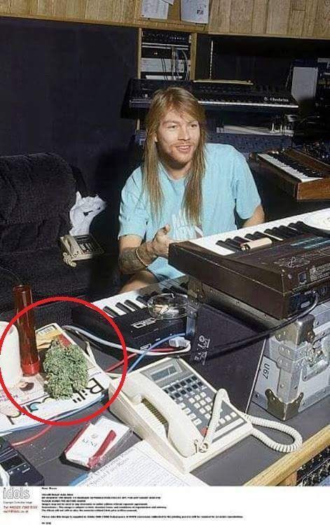 Happy 4/20!!! | Scrolller