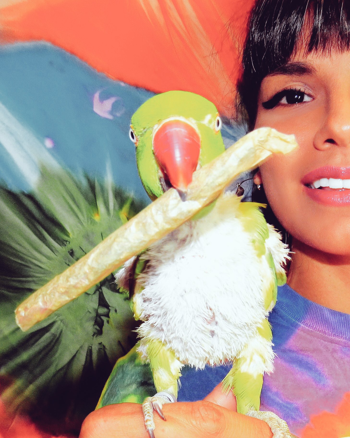 Happy 420 | Scrolller