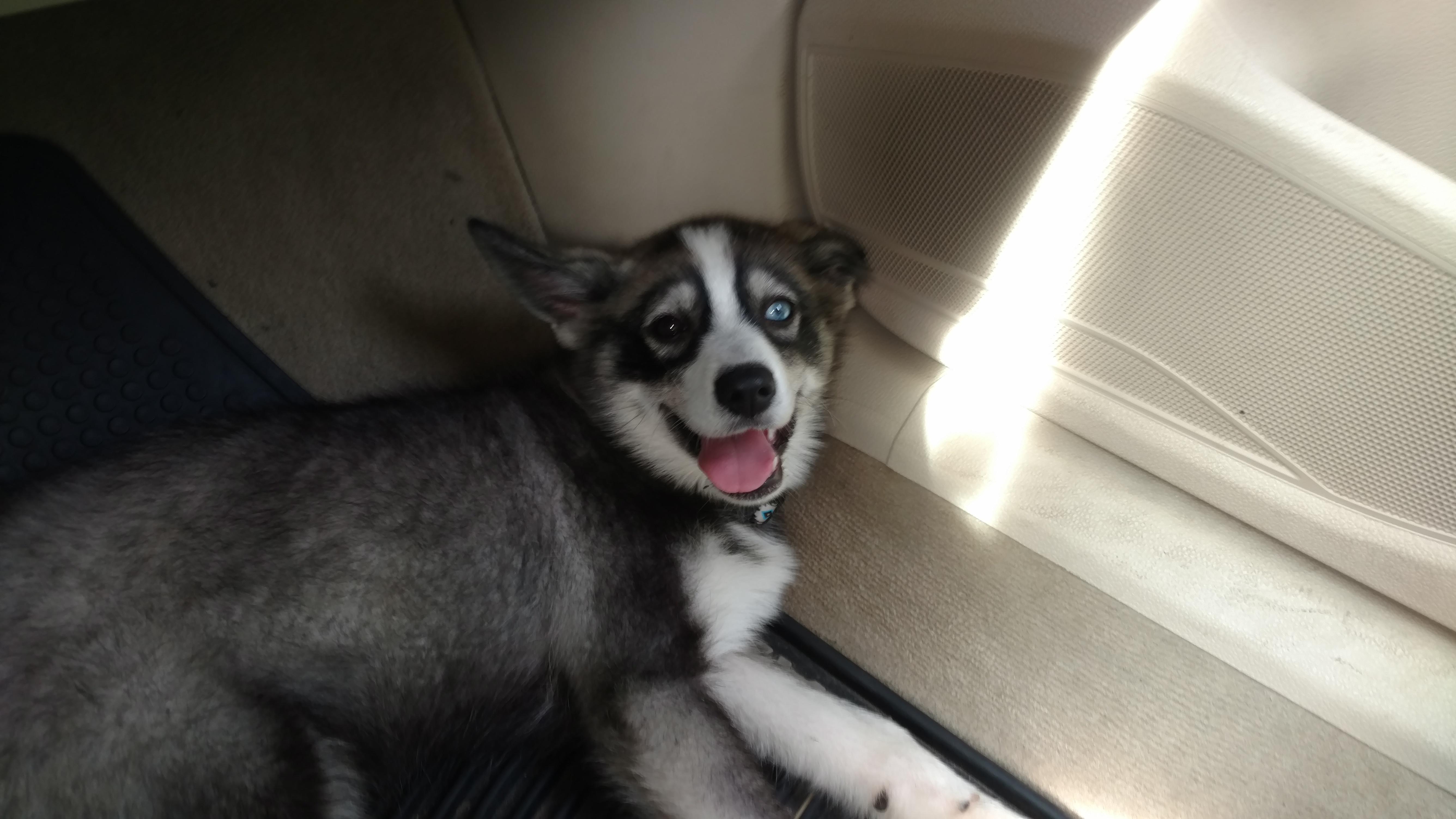 Happy and tired after a long walk | Scrolller