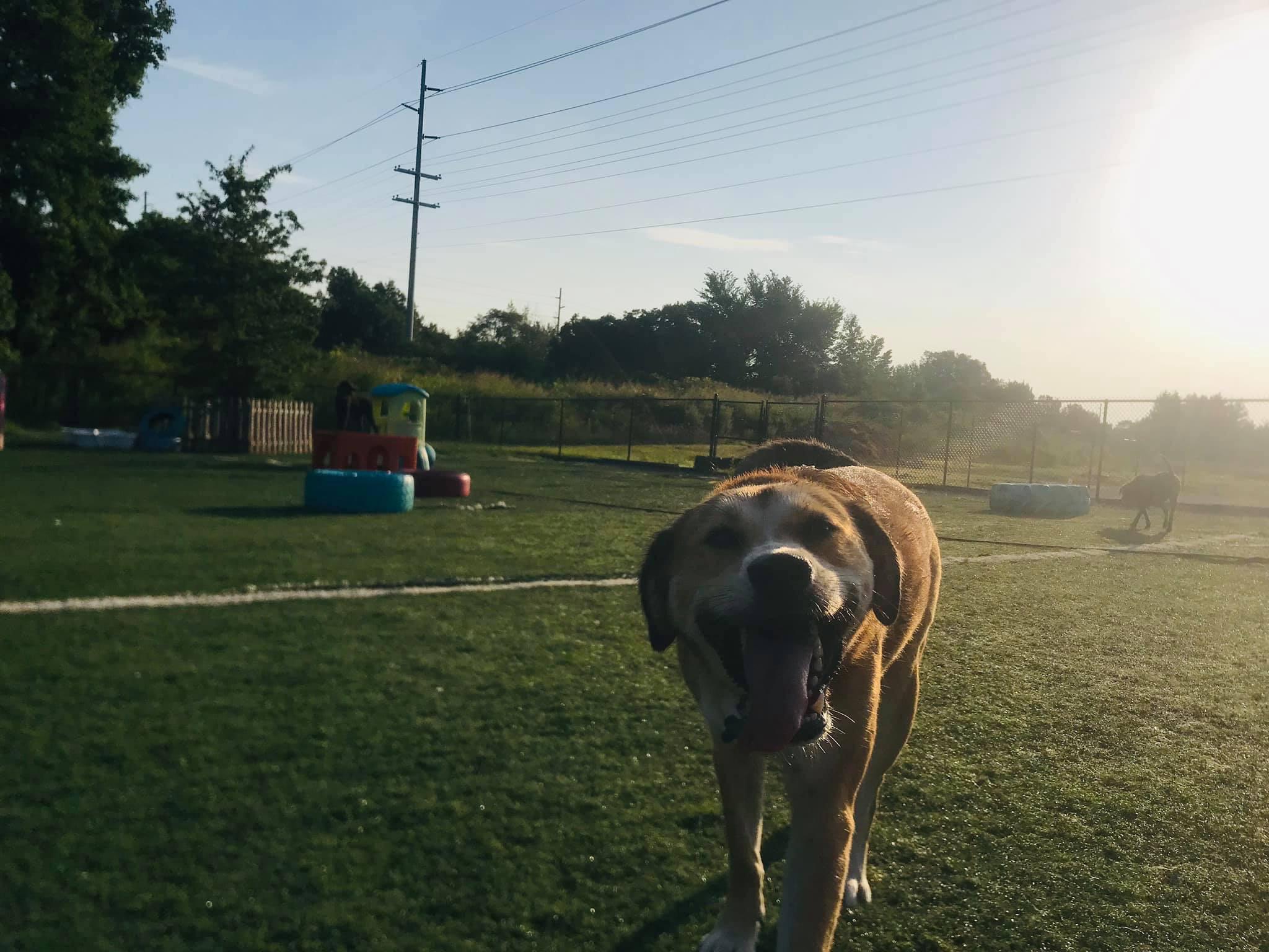 Happy Beans 🖤 | Scrolller