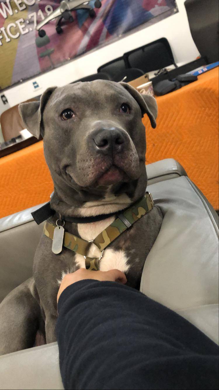 Happy Boi Dustin dropping by to wish y’all a happy Wednesday | Scrolller