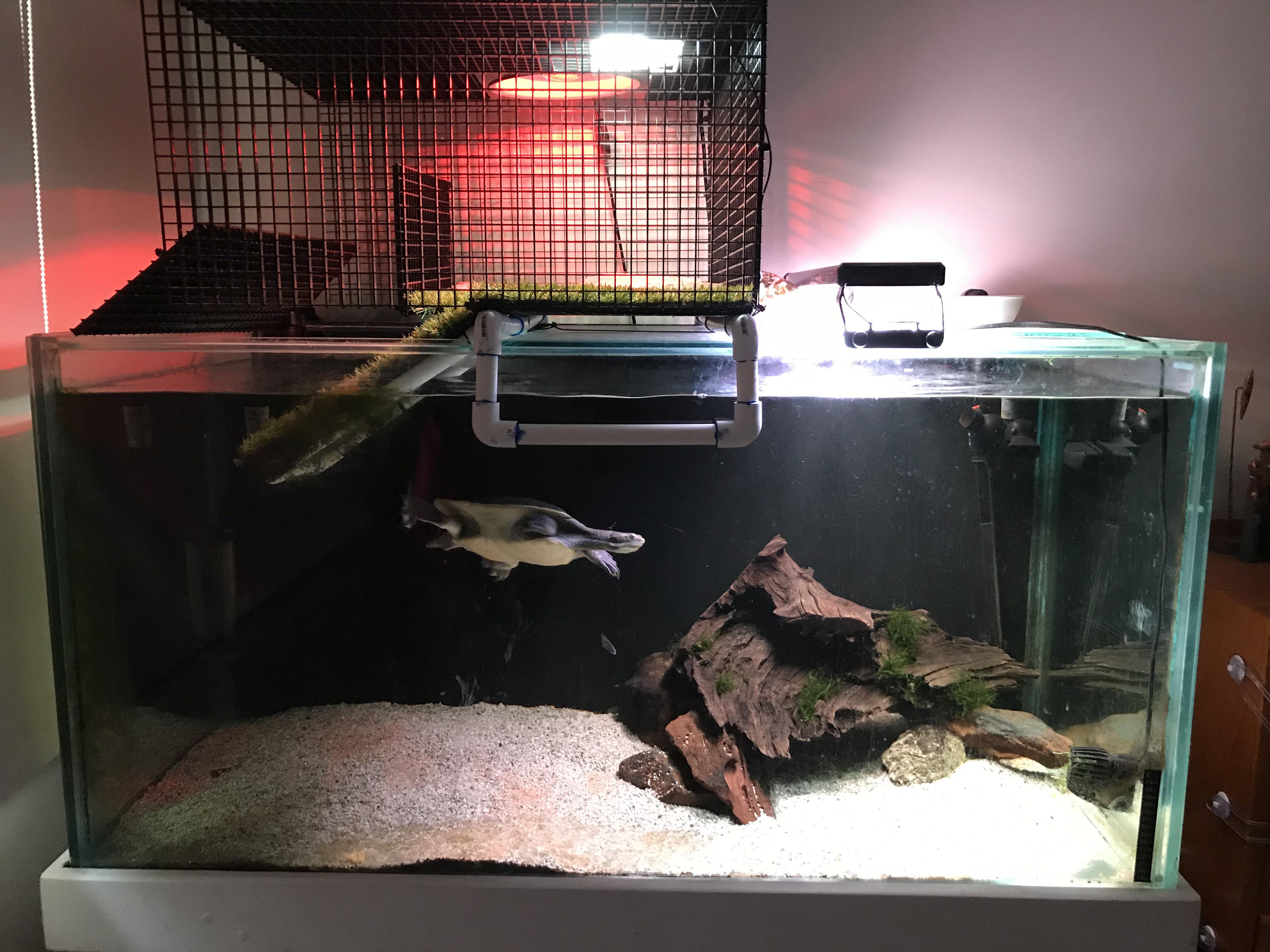 Happy Boy. | Scrolller