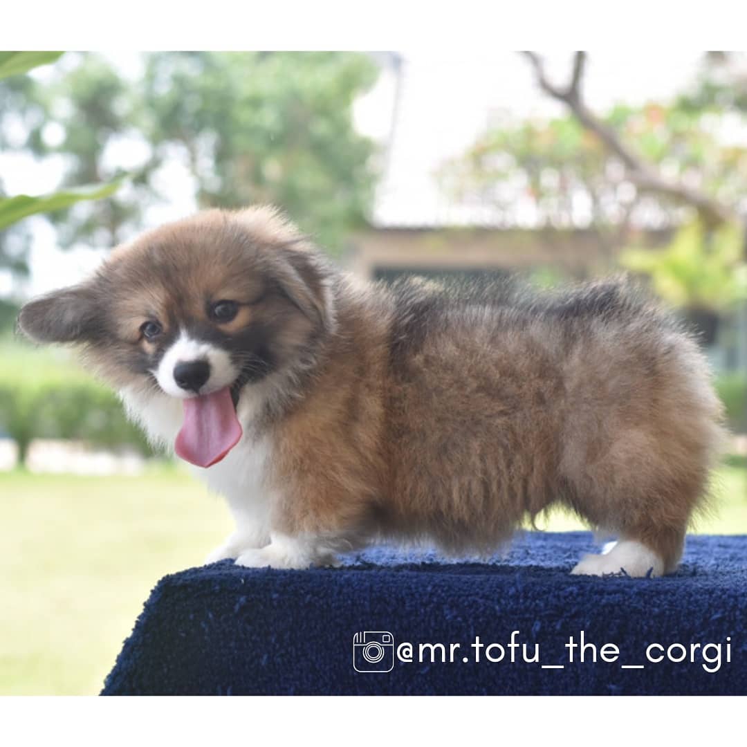 Happy Earth Day! (8 weeks) | Scrolller