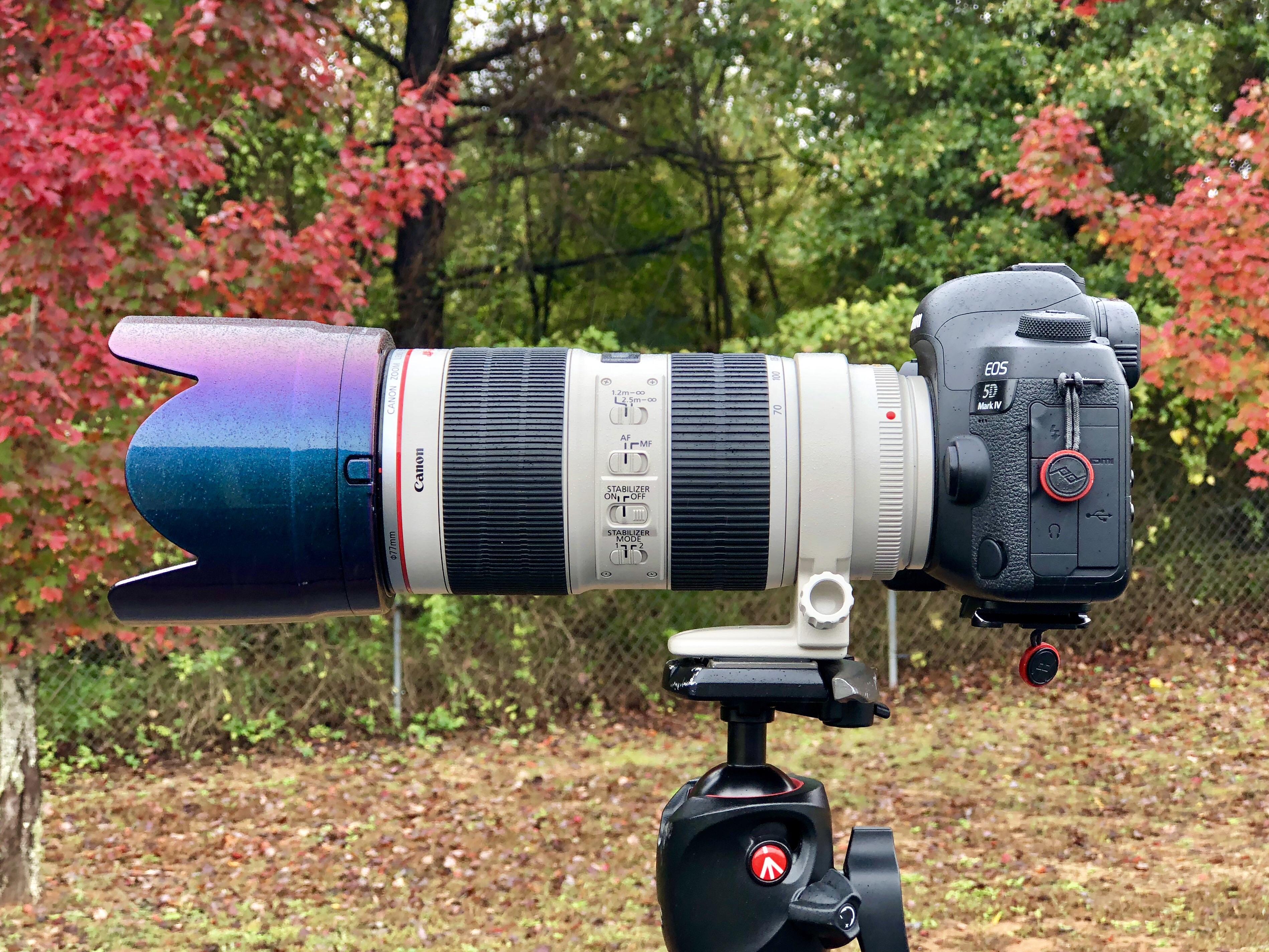 Happy Fall | Scrolller