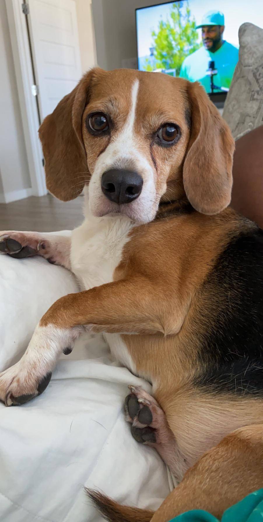 Happy Friday!!! Ready for all the pets. | Scrolller