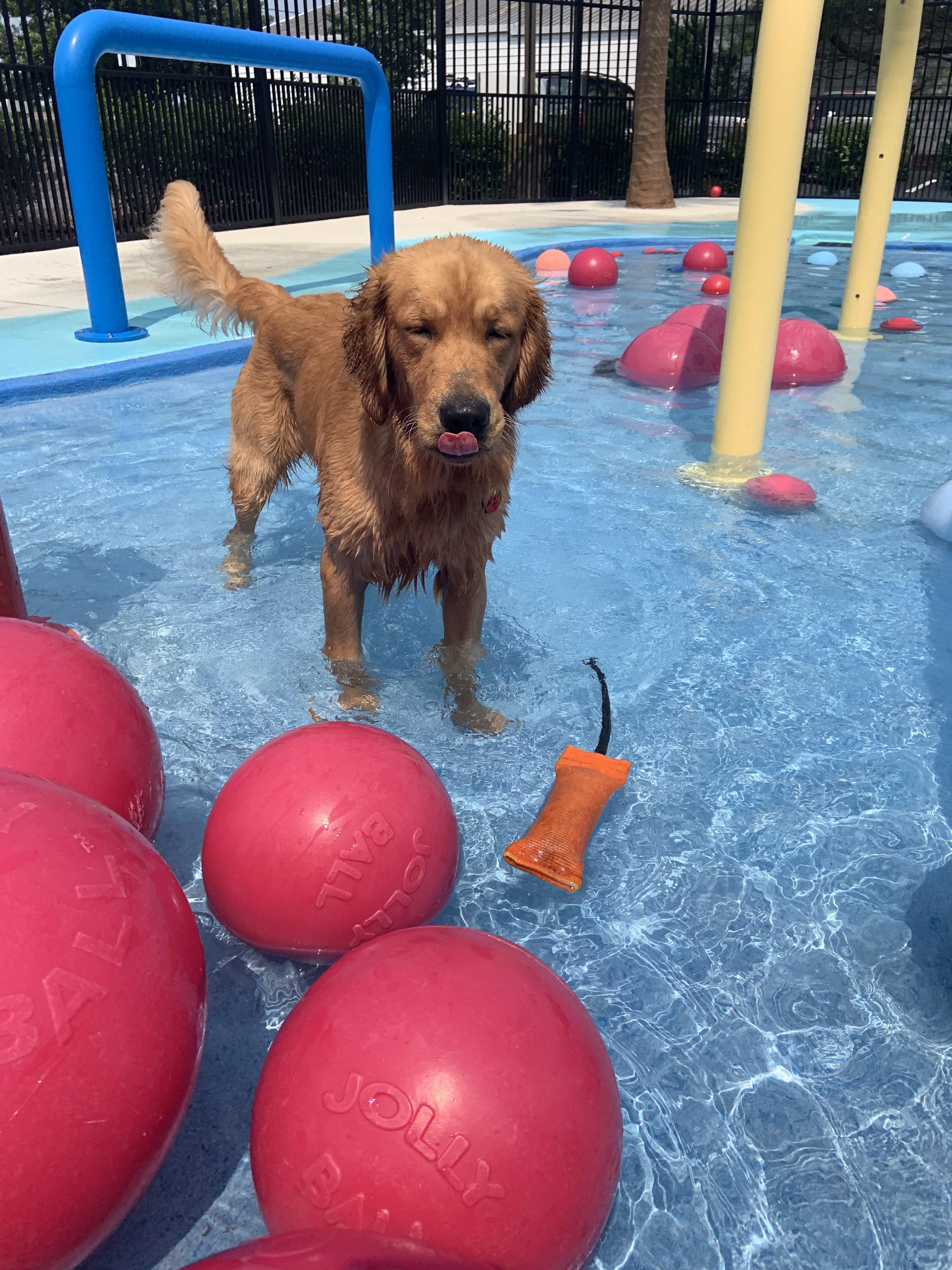 Happy golden boye water park mlem | Scrolller