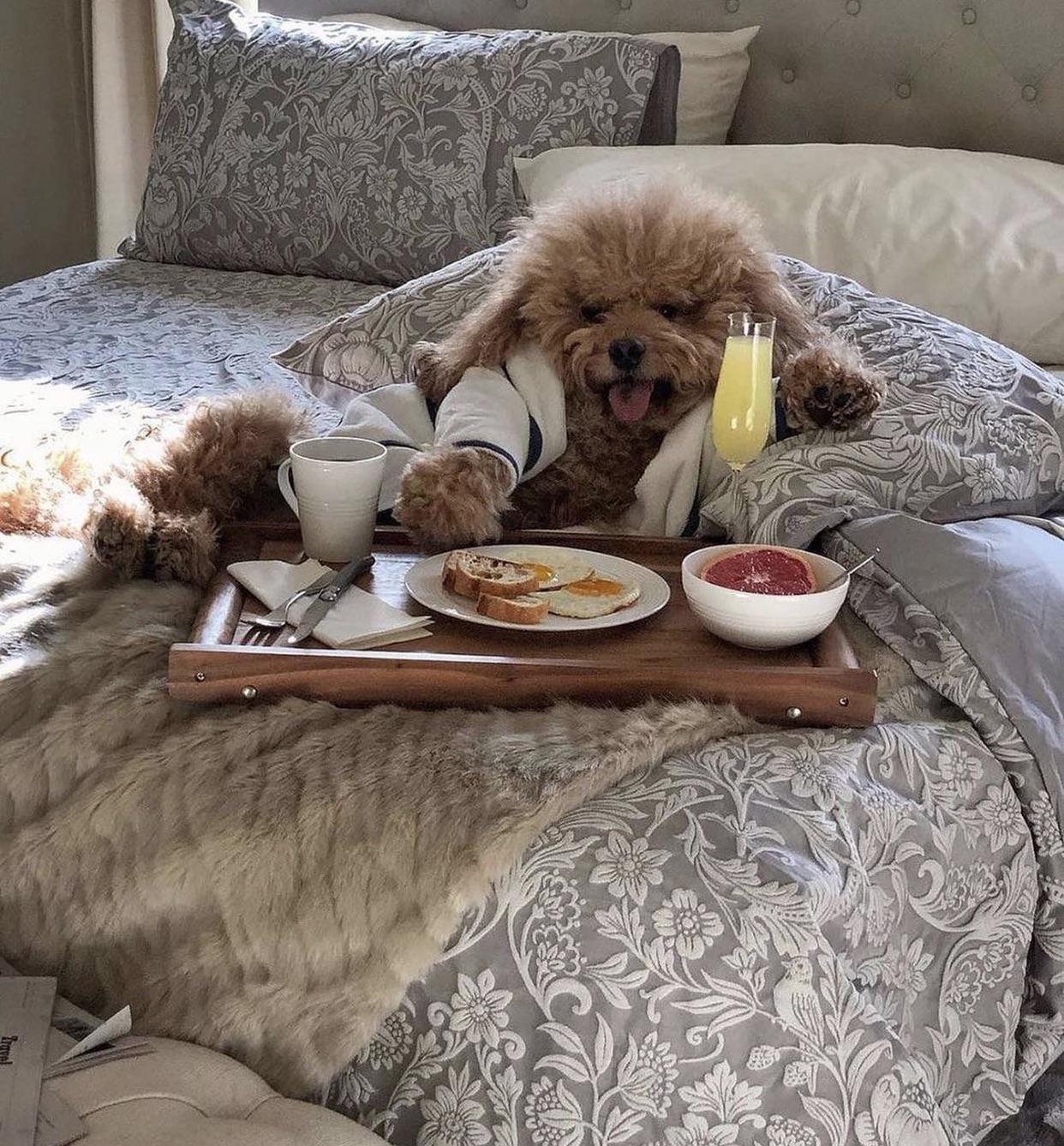 Happy hump day ya’ll | Scrolller