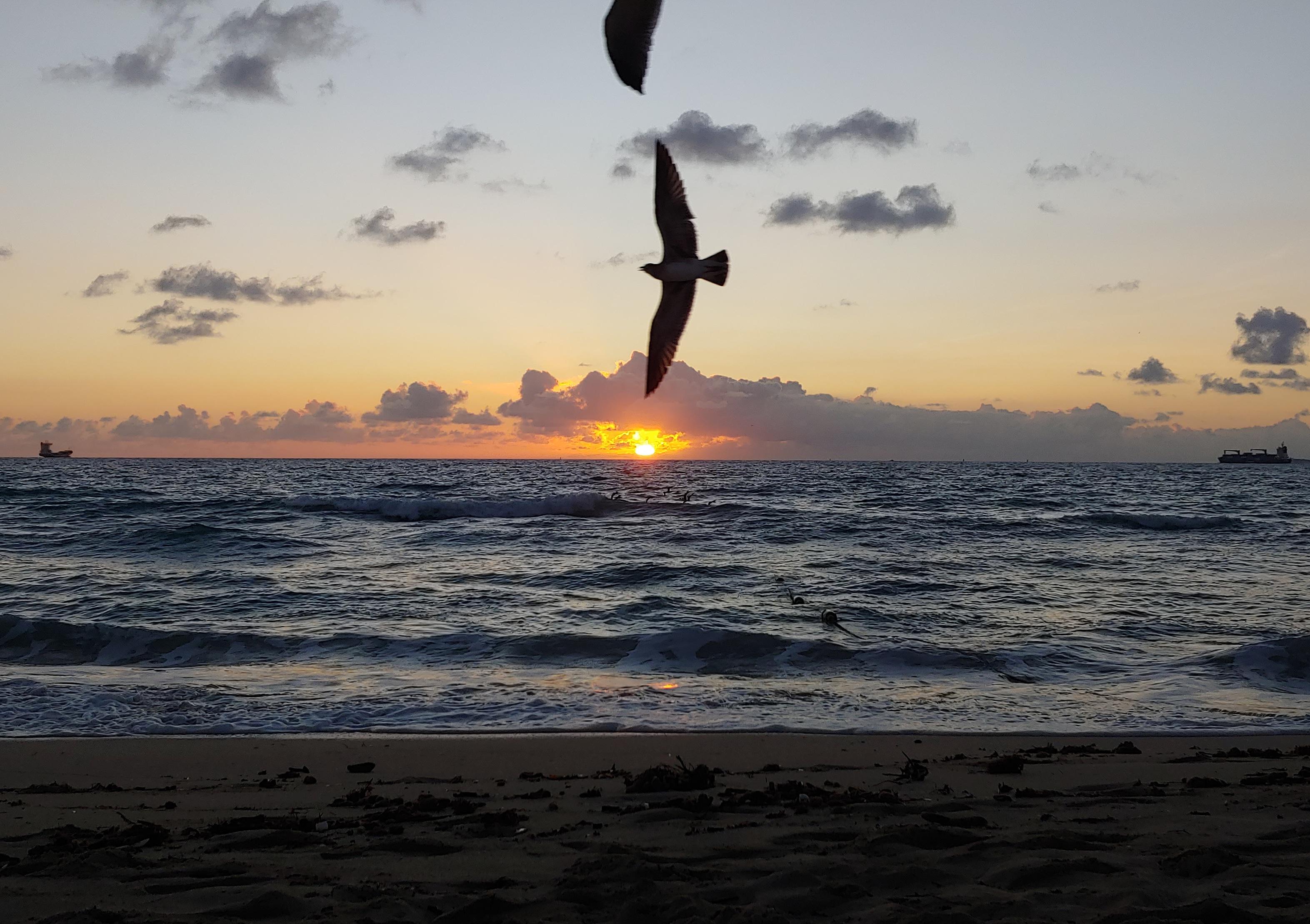 Happy Monday from South Beach, Miami Beach, FL | Scrolller