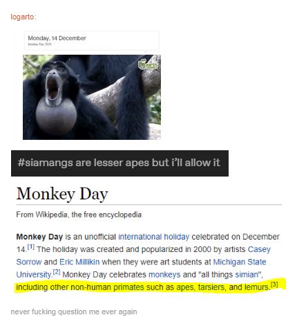 Happy monkey day! | Scrolller