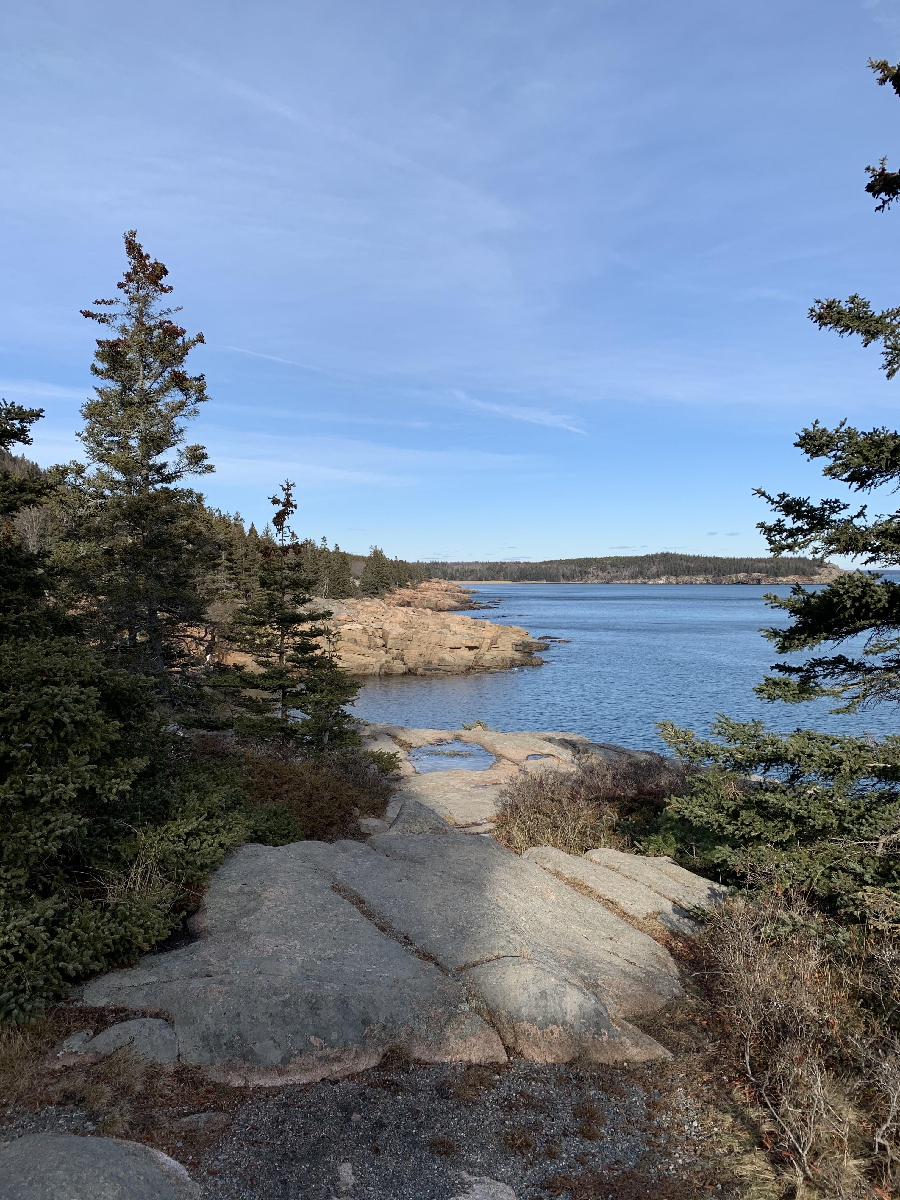 Happy New Year from Acadia!! | Scrolller