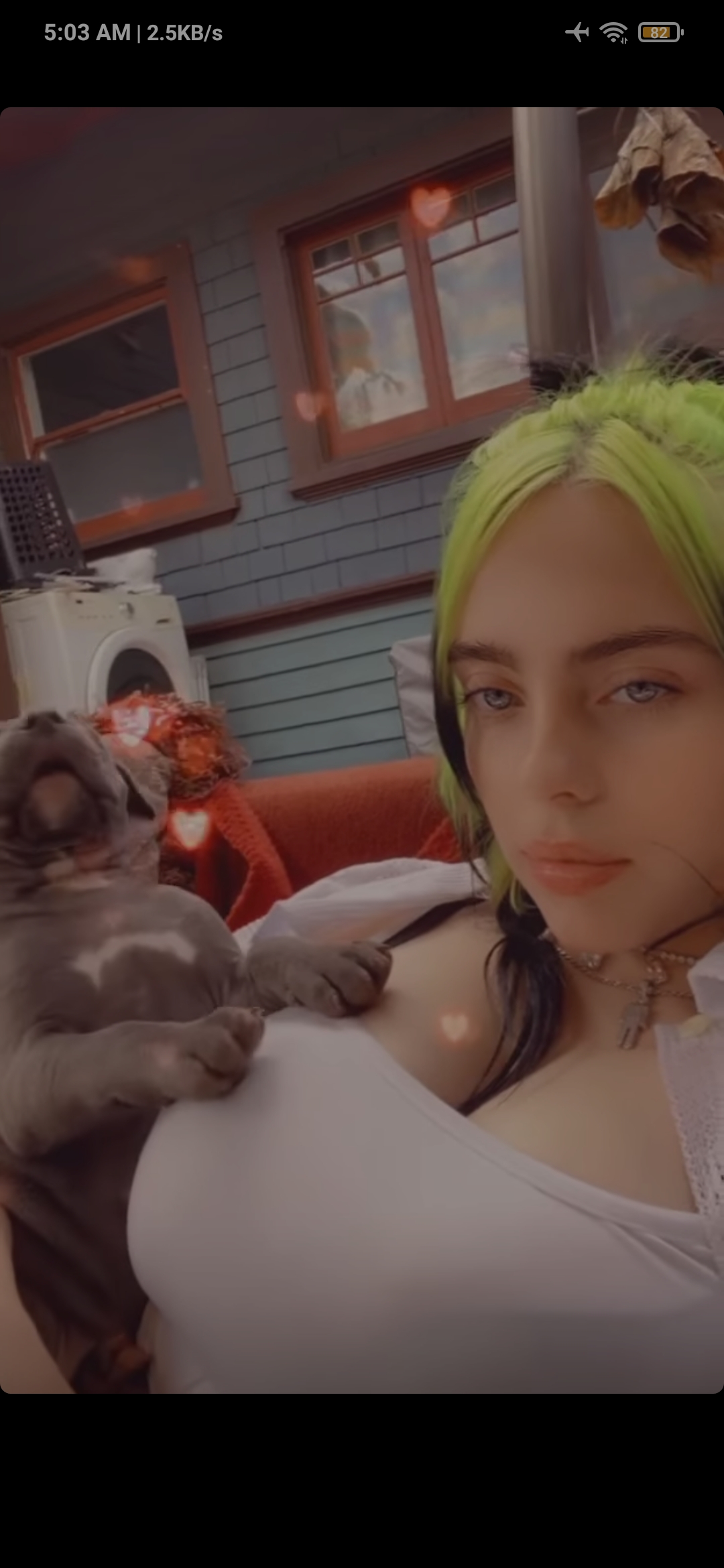 Happy puppy | Scrolller