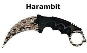 Haram , quran 🙏🏿 | Scrolller