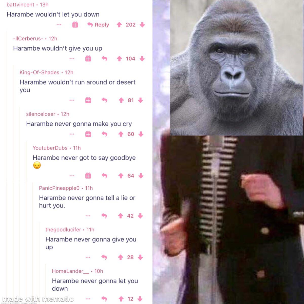 Harambe will RETURN | Scrolller