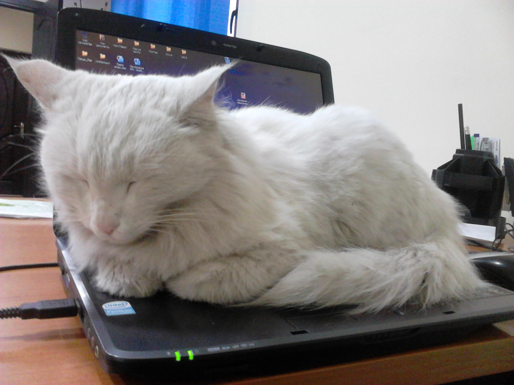 Hardworking loaf | Scrolller