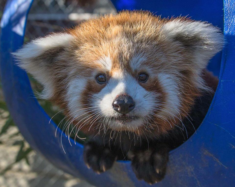 "Harry Potter must not go back to Hogwarts." | Scrolller