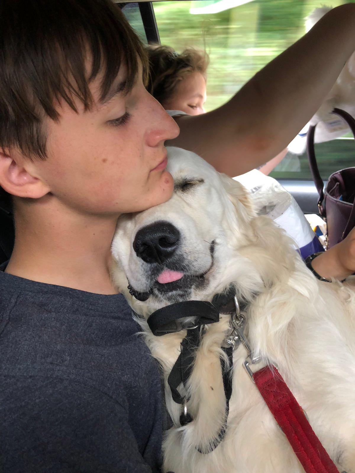 Harvey has a sleepy blop | Scrolller