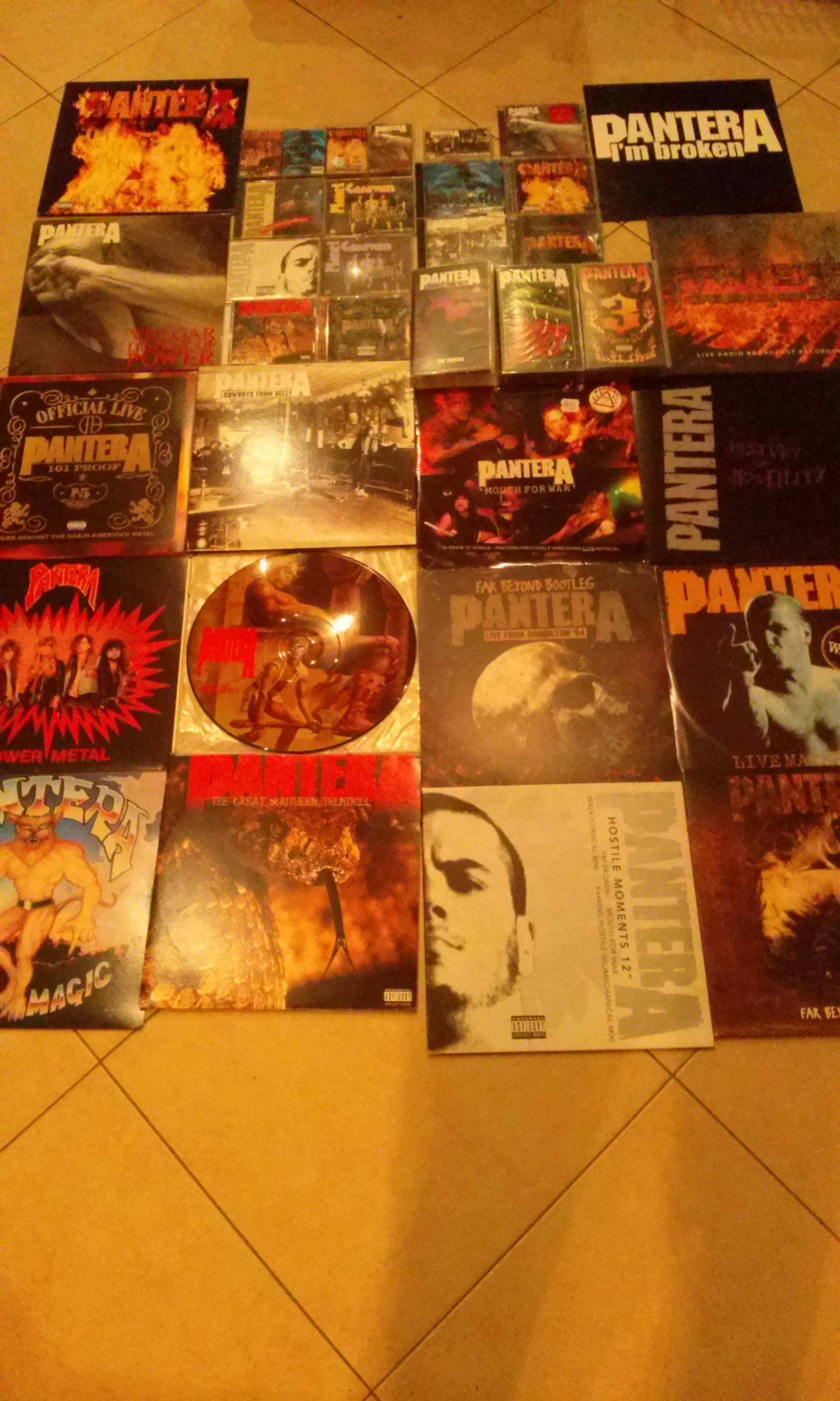 Has anyone else got any pantera collections? | Scrolller