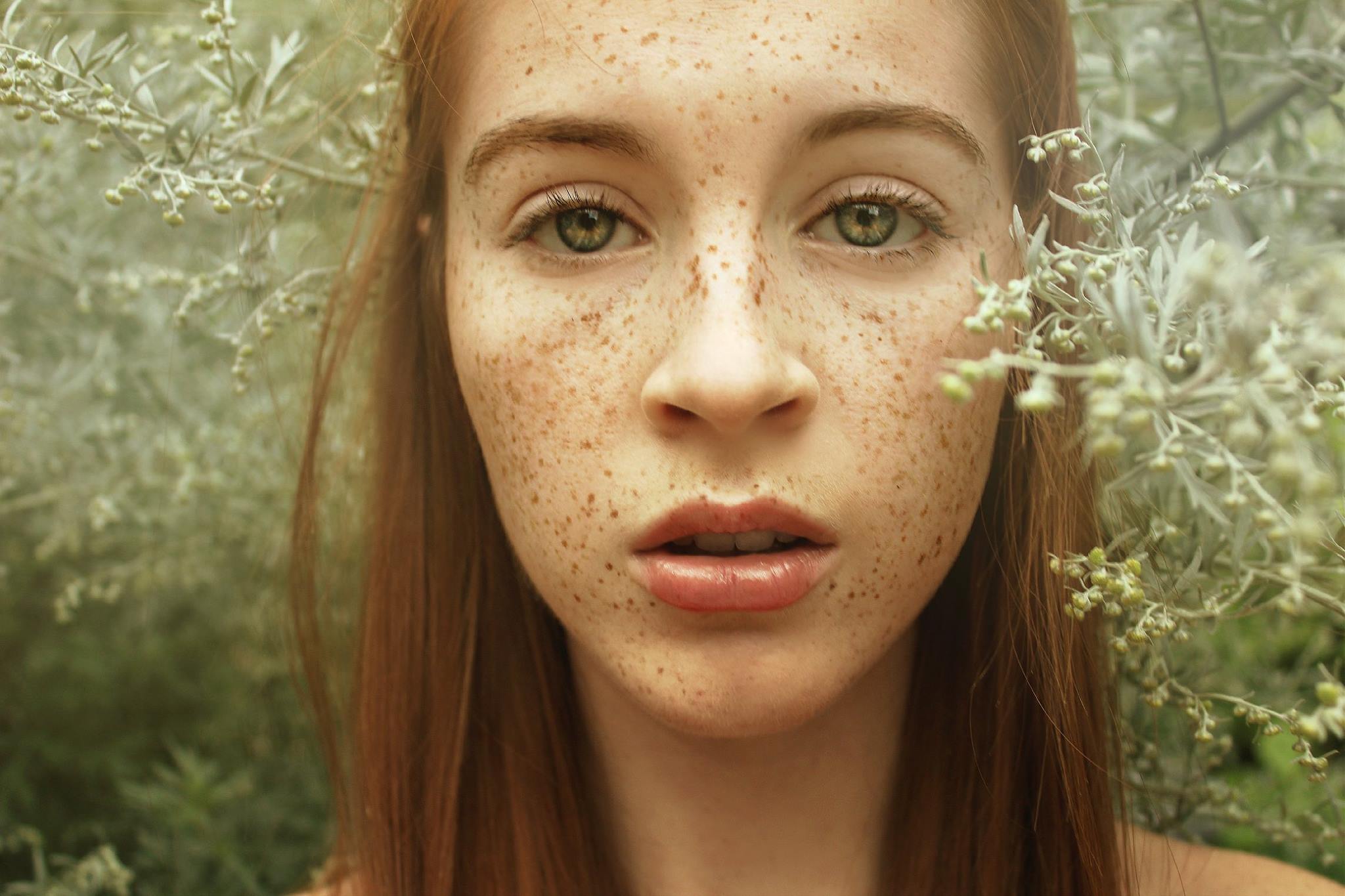 Haunting | Scrolller