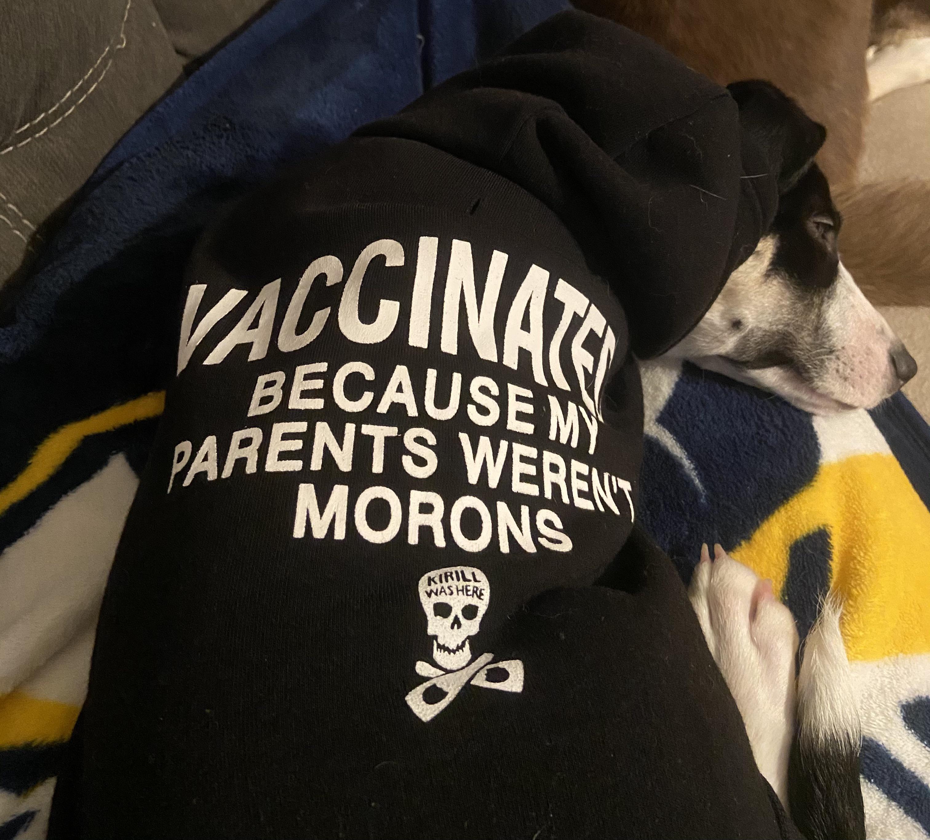 Have my newest lady repping Alf life | Scrolller